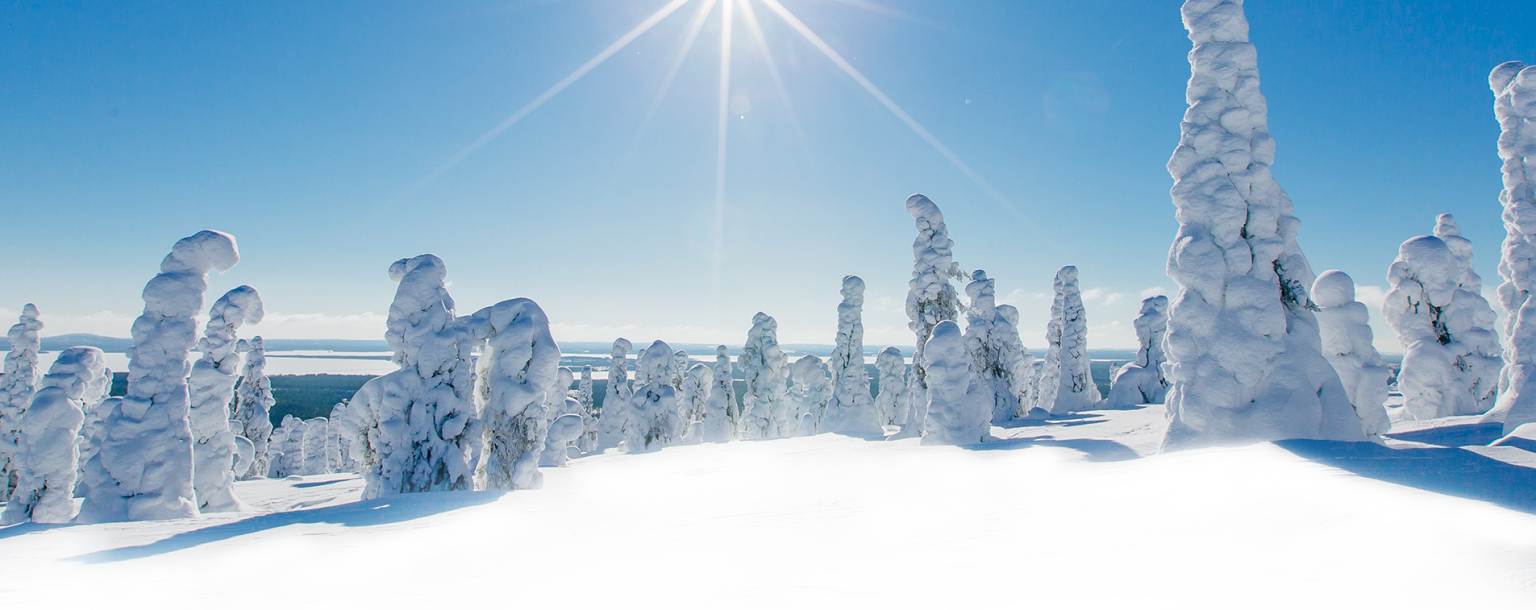Powder Renegade / Cat Skiing Tours / Monashee Mountains